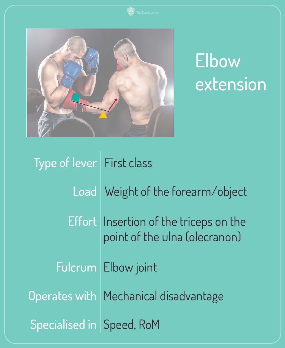 Teaching Levers in PE - Part 1